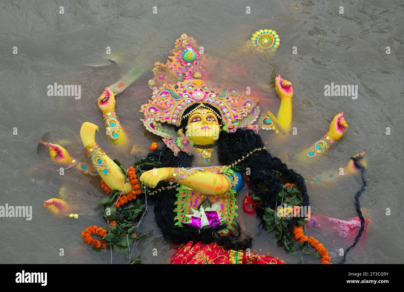 An immersed Goddess Durga idol floating in the Brahmaputra river at the ...