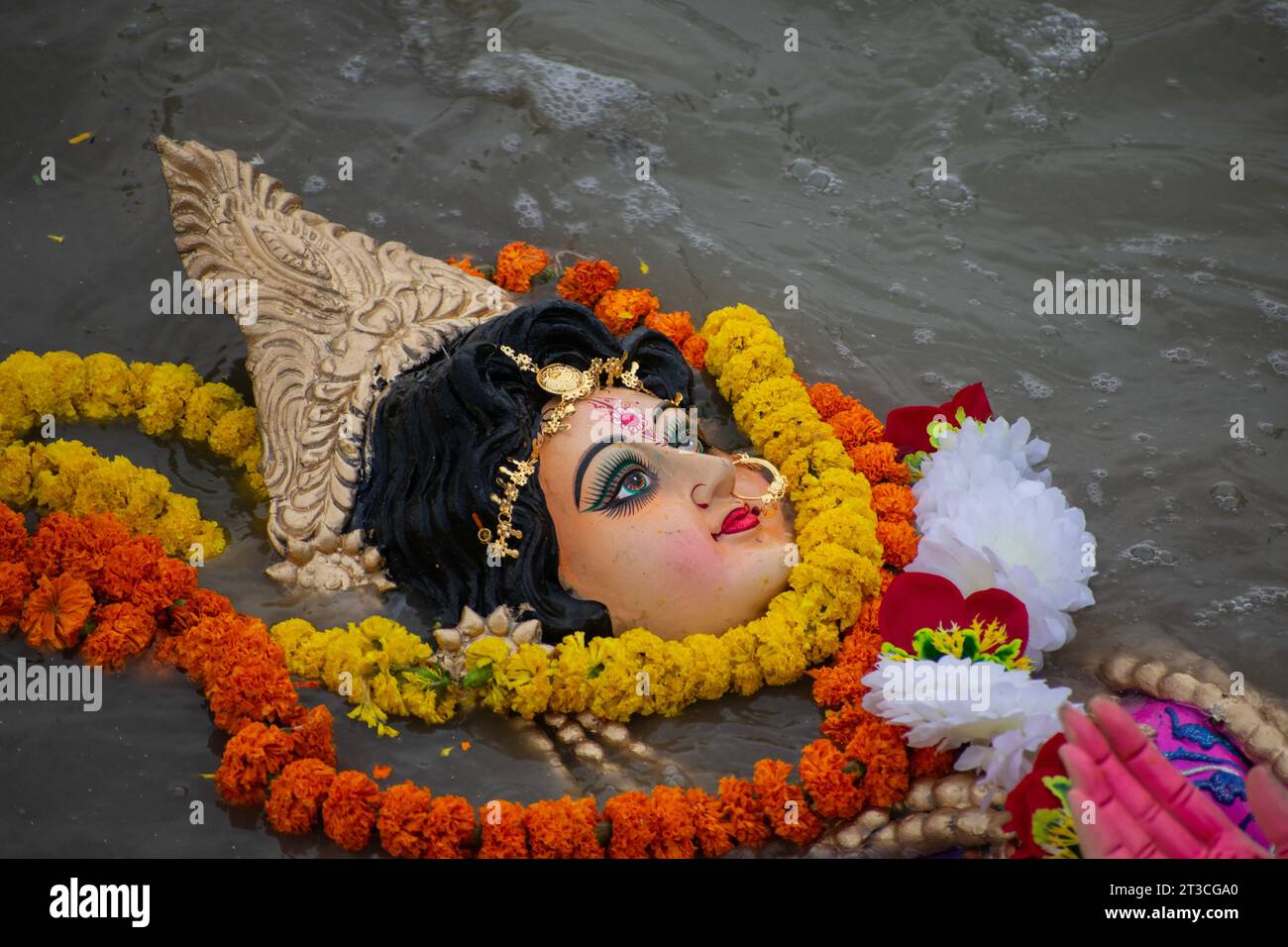 An immersed Goddess Durga idol floating in the Brahmaputra river at the ...