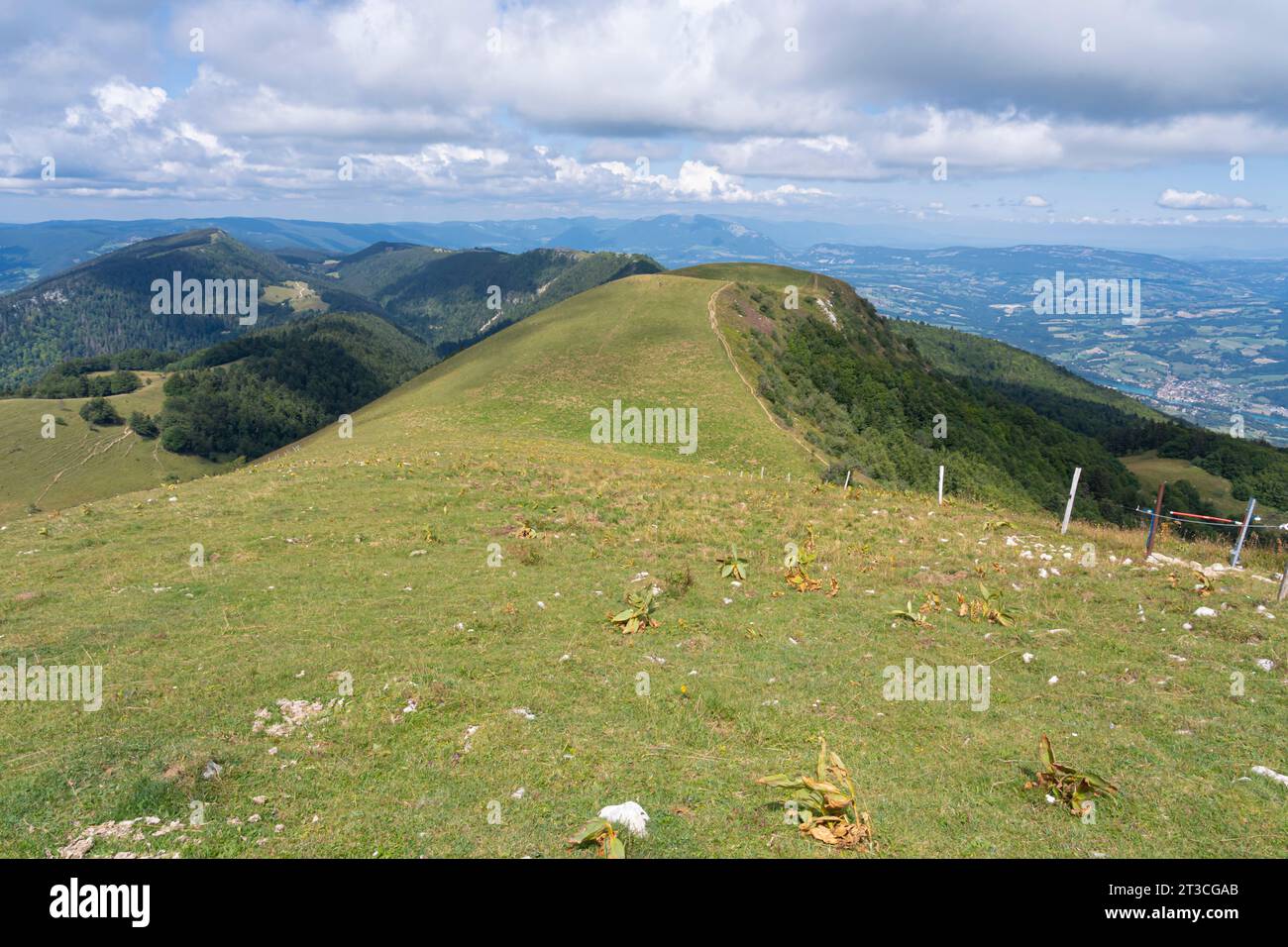 Grand Colombier Pass. View of the Col Du Grand Colombier, the forest ...