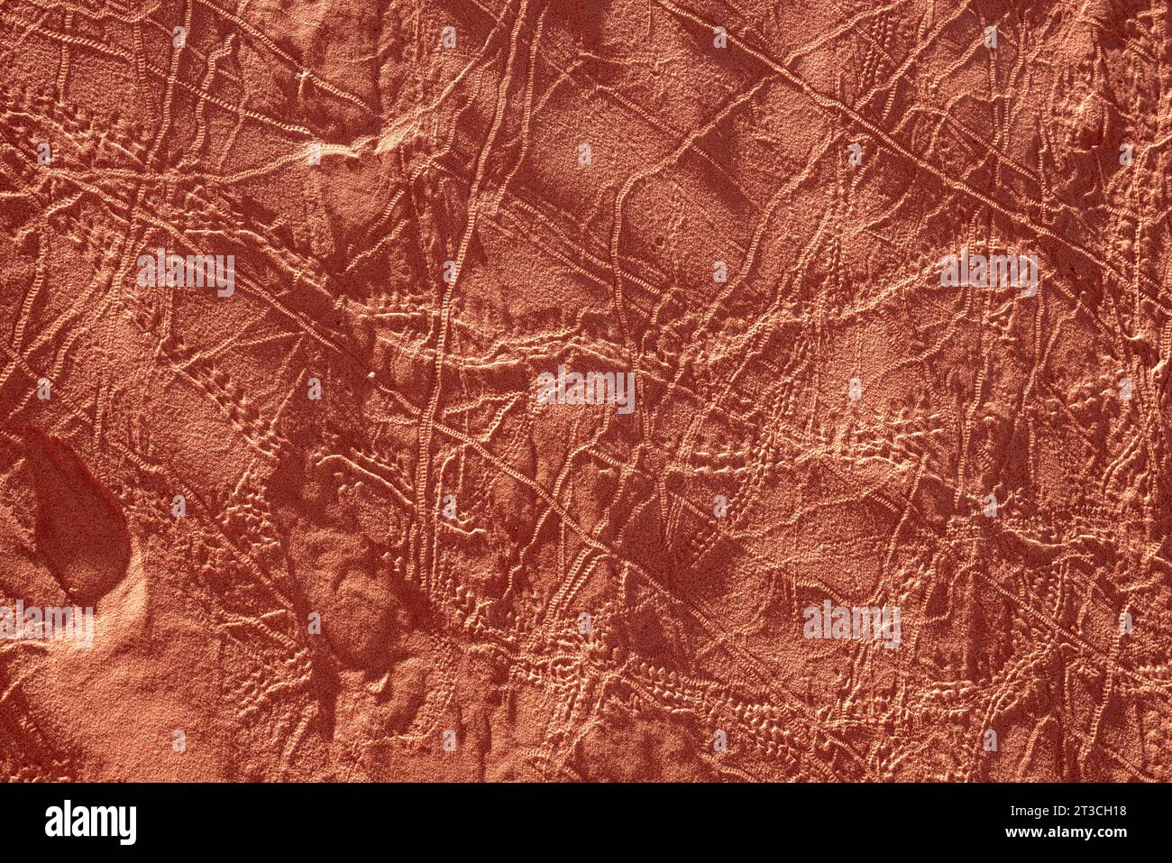 Animal tracks. Photograph of sand dunes in Antelope Valley, Emery ...