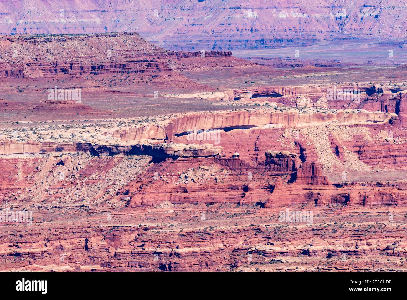 Photograph of Canyonlands National Park from Panorama Point in Glen ...