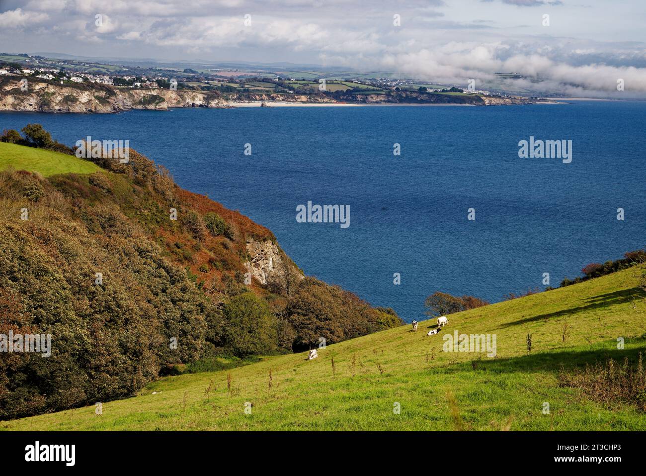 St Austell Bay Stock Photo - Alamy