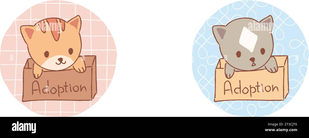 Kawaii cat in the box. Pet adoption concept. Stock vector illustration ...