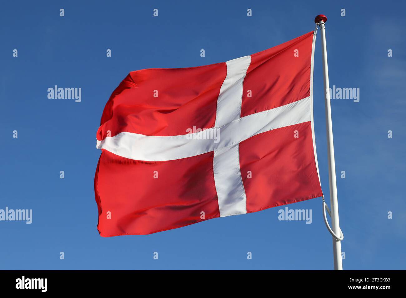 The national flag of Denmark vawing in the wind agains a clear blue sky ...