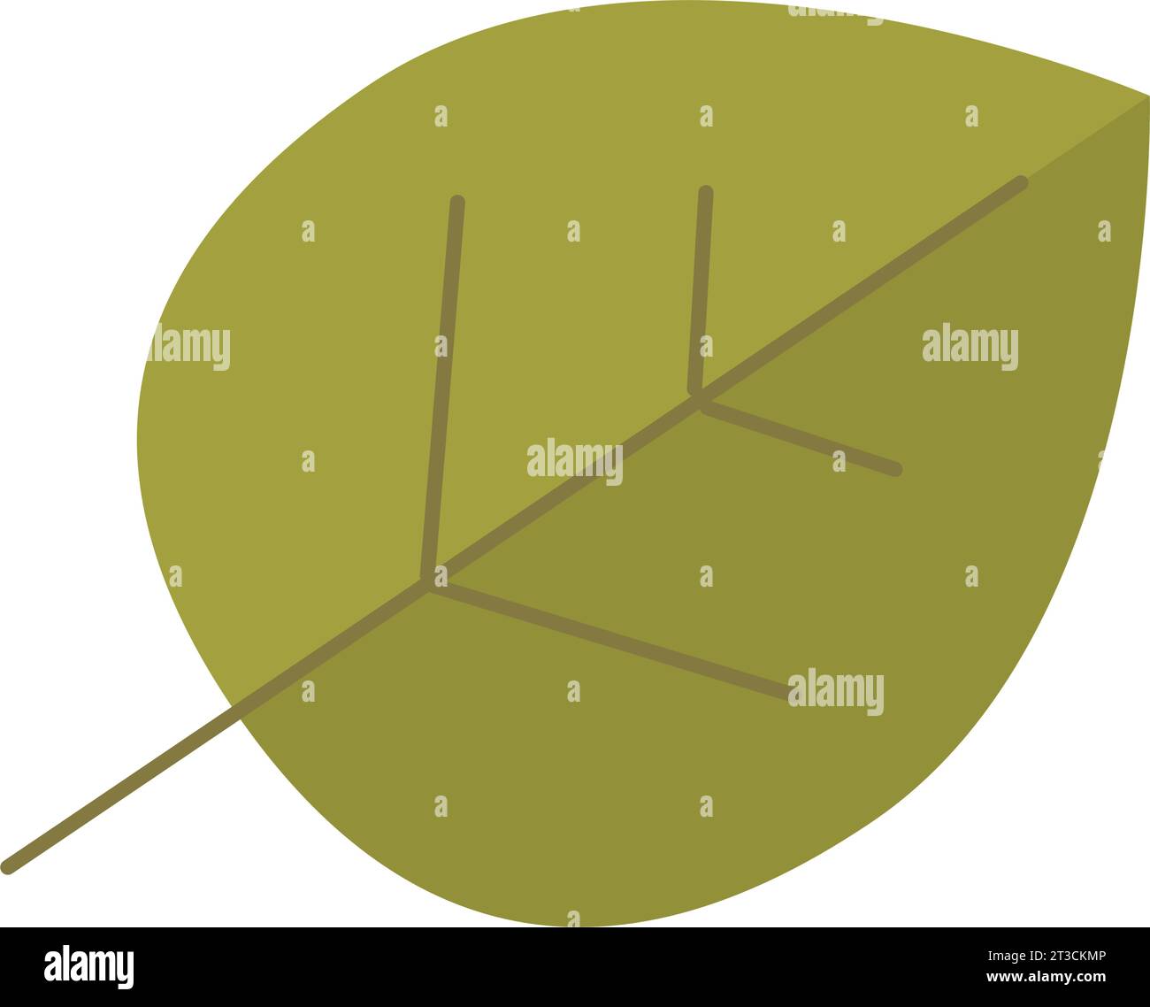 Isolated colored autumn leaf icon Vector Stock Vector Image & Art - Alamy