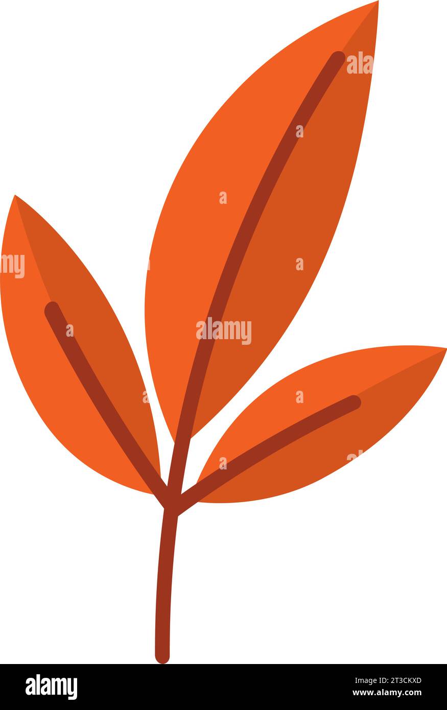 Isolated colored autumn leaf icon Vector Stock Vector Image & Art - Alamy