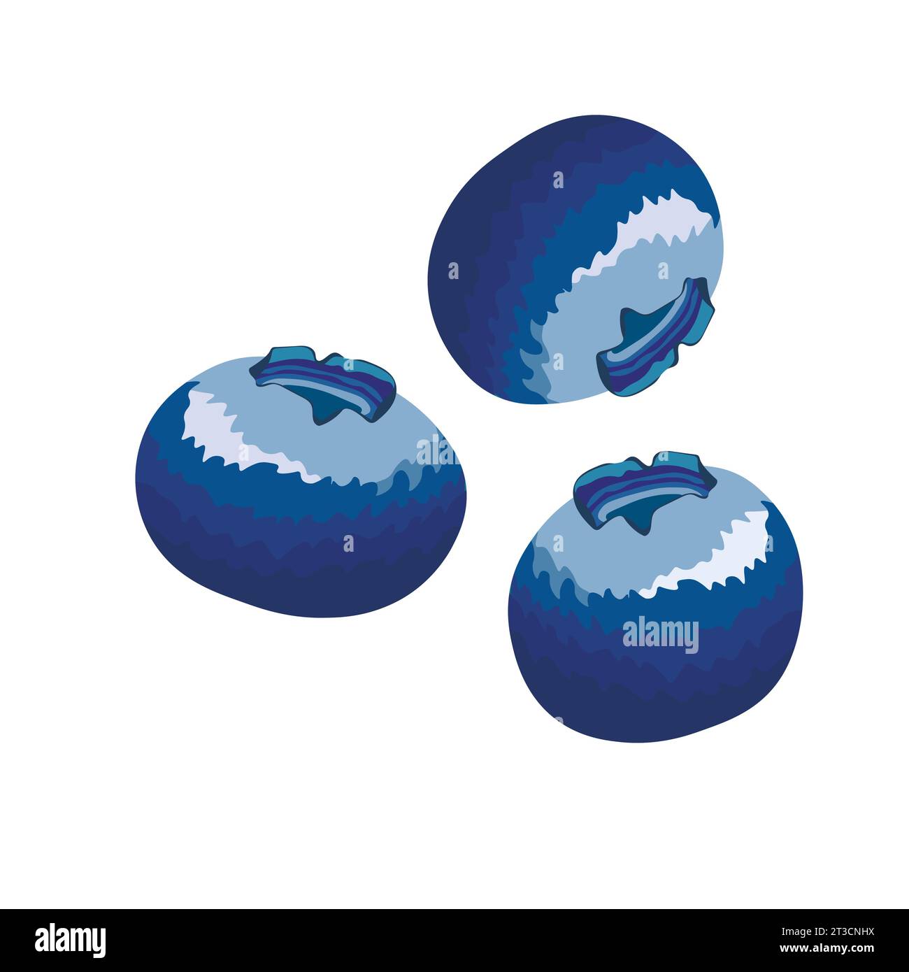 Blueberry set. Natural fresh ripe tasty blueberries. Vector ...