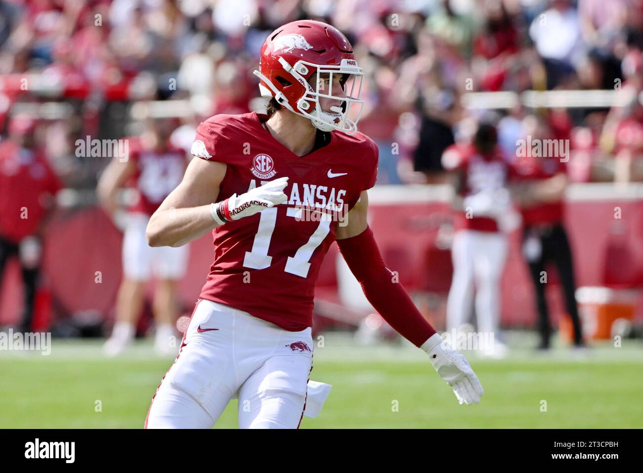 Arkansas defensive back Hudson Clark (17) runs a play against ...