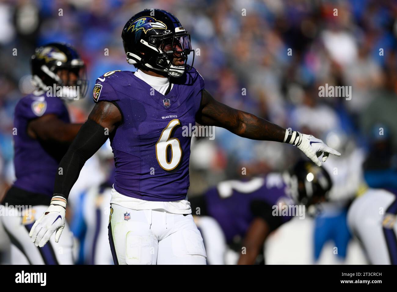 Baltimore Ravens linebacker Patrick Queen (6) in action during the ...