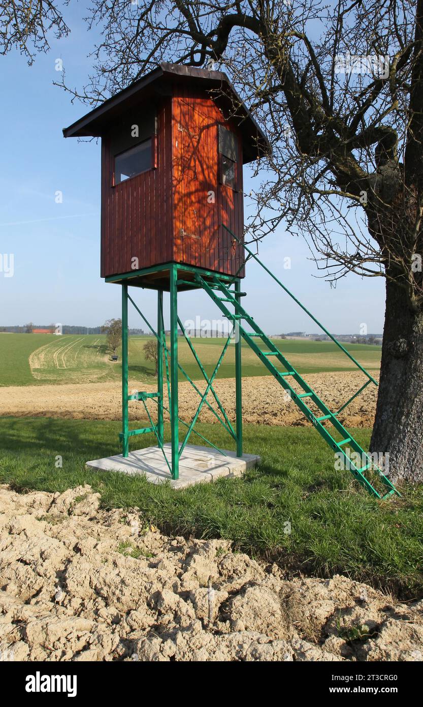 Hunter's stand at pear tree in the field, by concrete base and iron ...