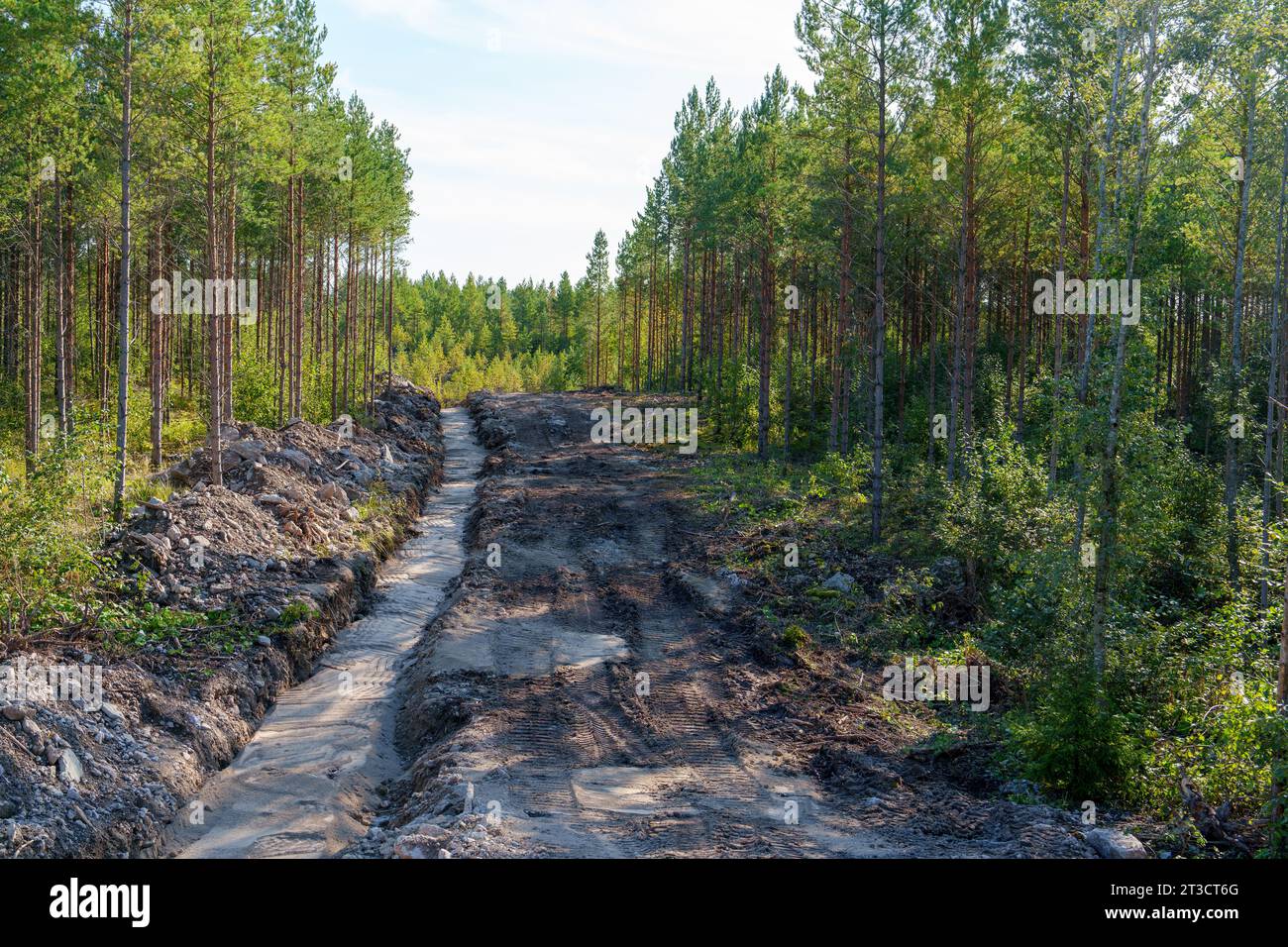 Laying High-Voltage Cables Underground Through the Forest to Connect ...