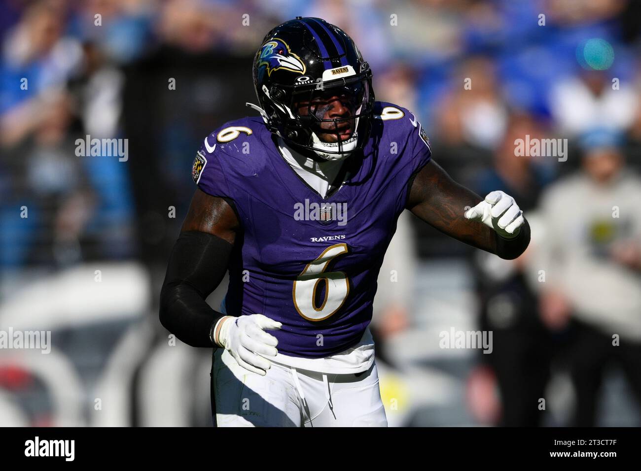 Baltimore Ravens linebacker Patrick Queen (6) in action during the ...
