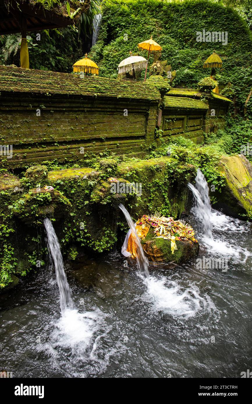 A small temple used for sacred ablutions. Enchanted and covered in moss ...