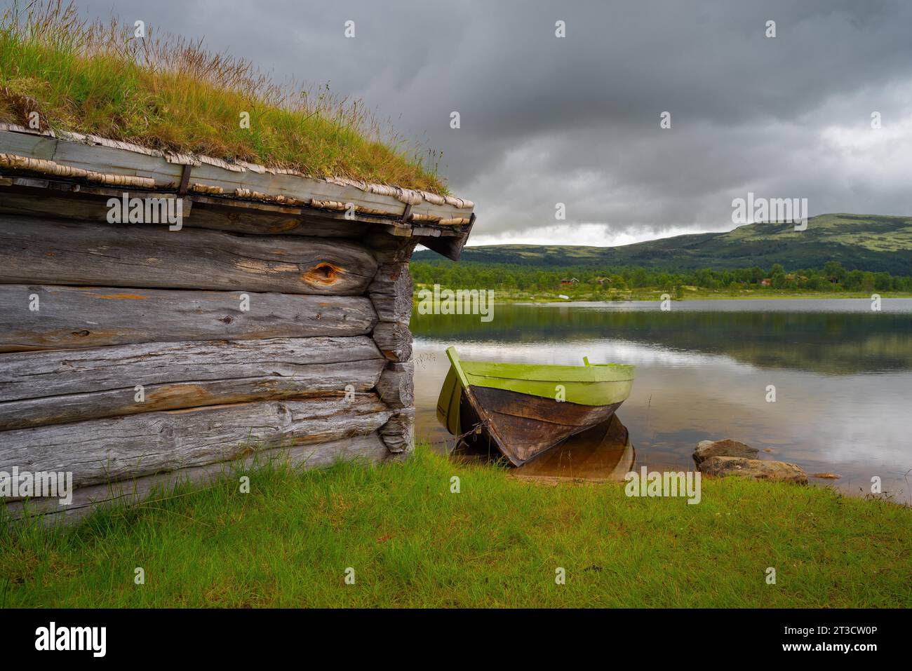 Weathered, natural trunk, wooden boat, rowing boat, natural roof, green ...