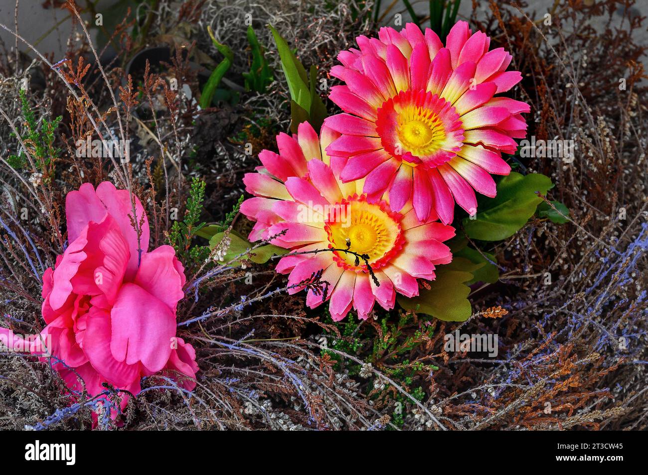 Artificial gerbera (Gerbera) hybrids, Allgaeu, Bavaria, Germany Stock ...