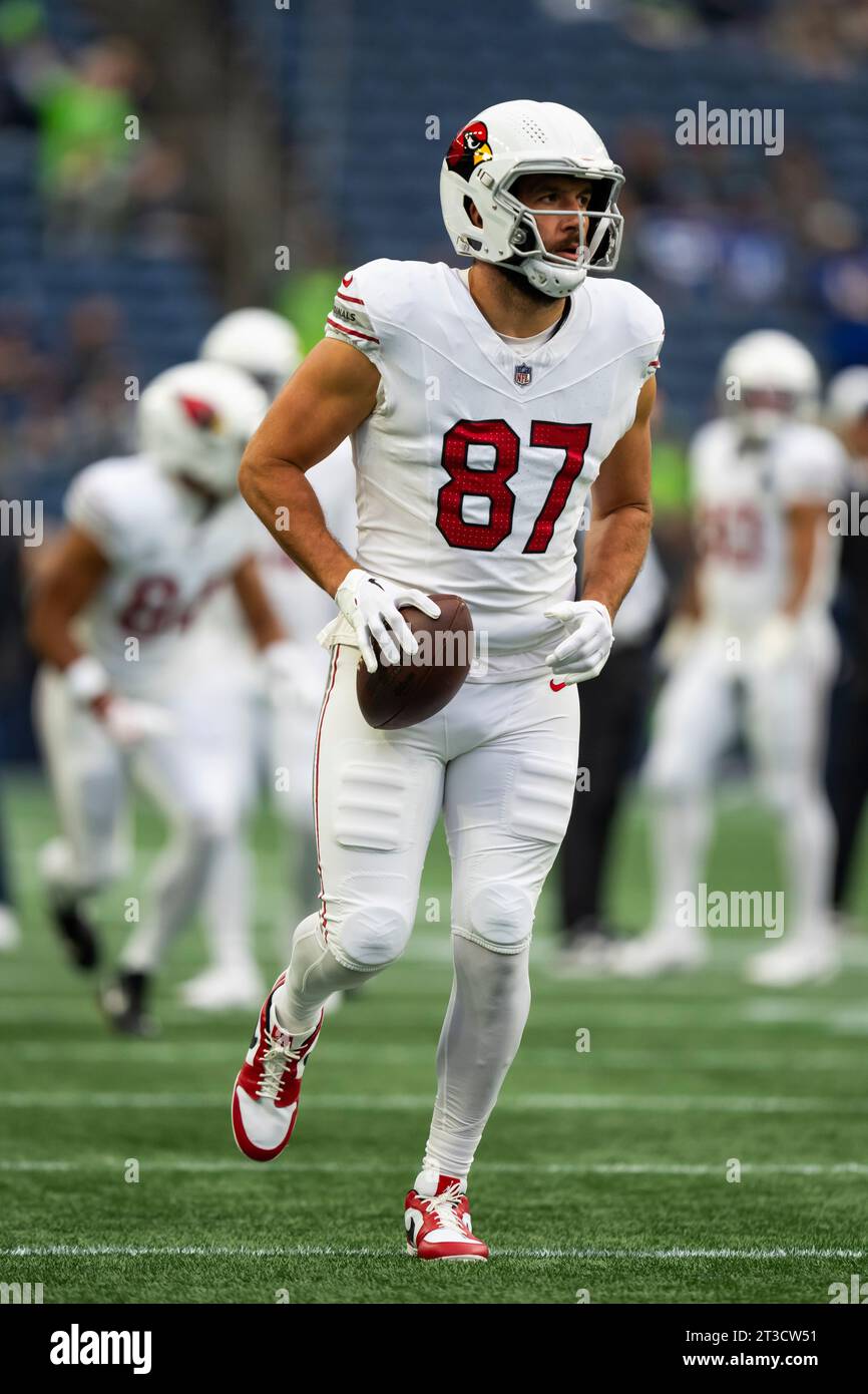 Arizona Cardinals tight end Geoff Swaim (87) runs with the ball before ...