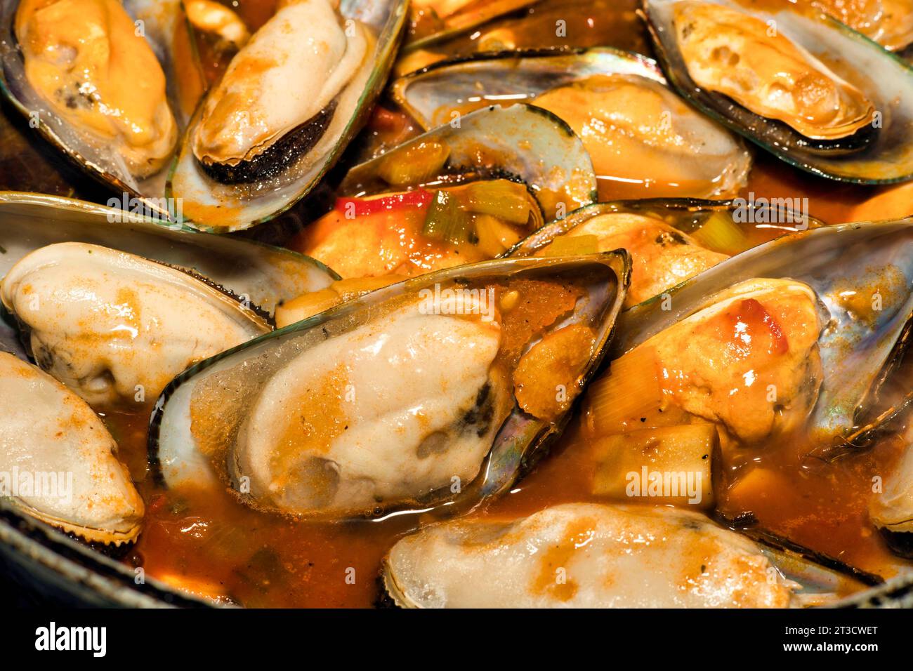 New zealand green-lipped mussels (Perna canaliculus) from New Zealand ...