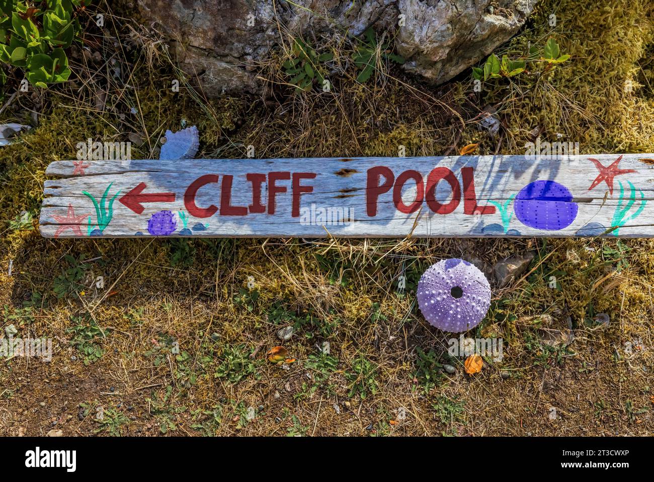 Sign for Cliff Pool, a hot spring on Gandll K'in Gwaay.yaay, aka ...