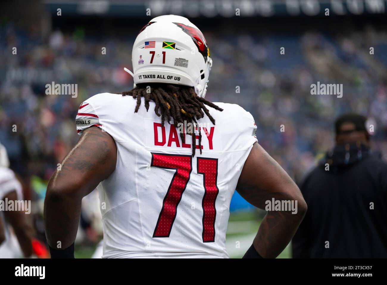 Arizona Cardinals guard Dennis Daley (71) looks on before an NFL ...