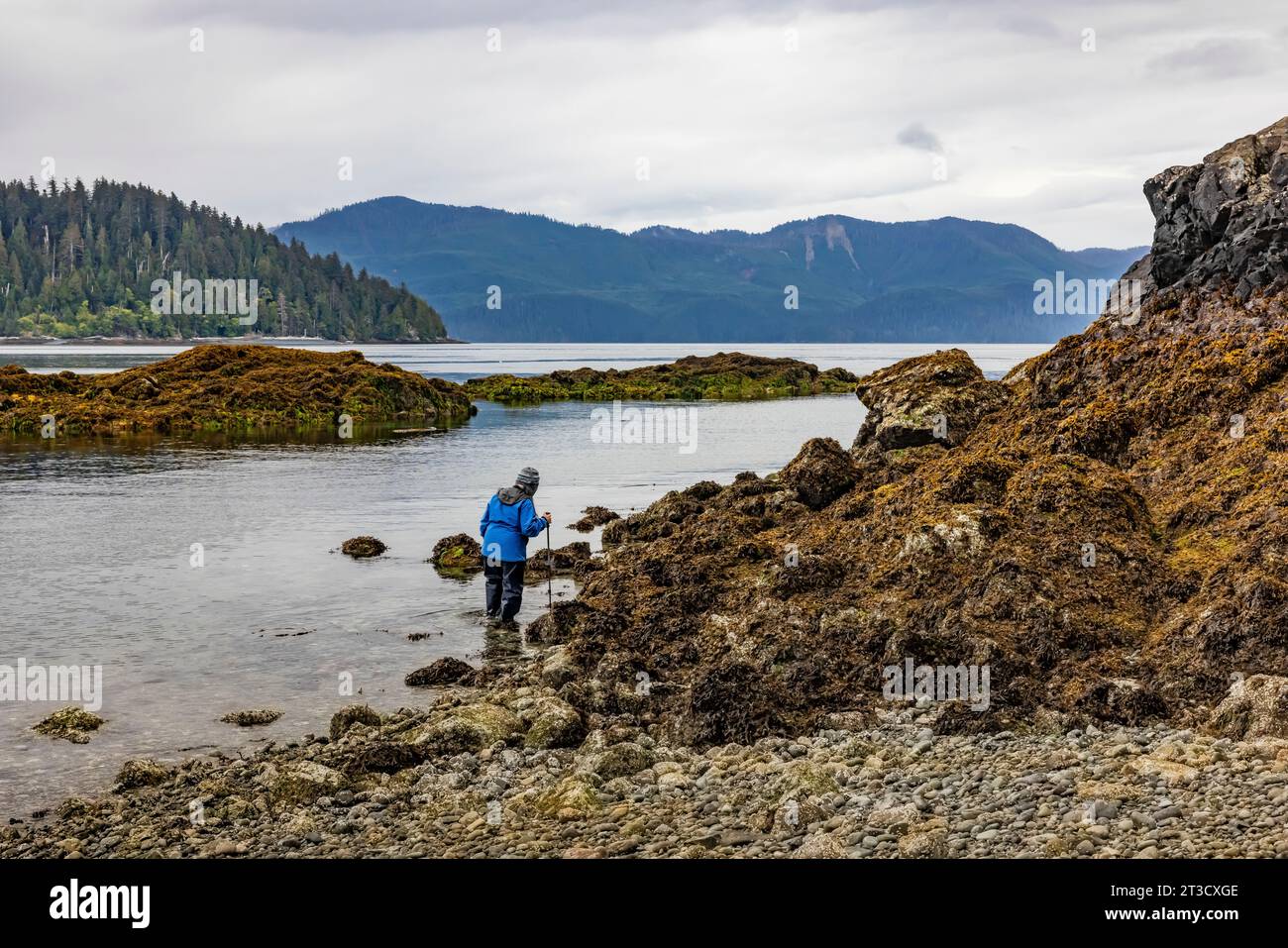 Karen Rentz exploring rocks exposed by low tide at the ancient Haida ...