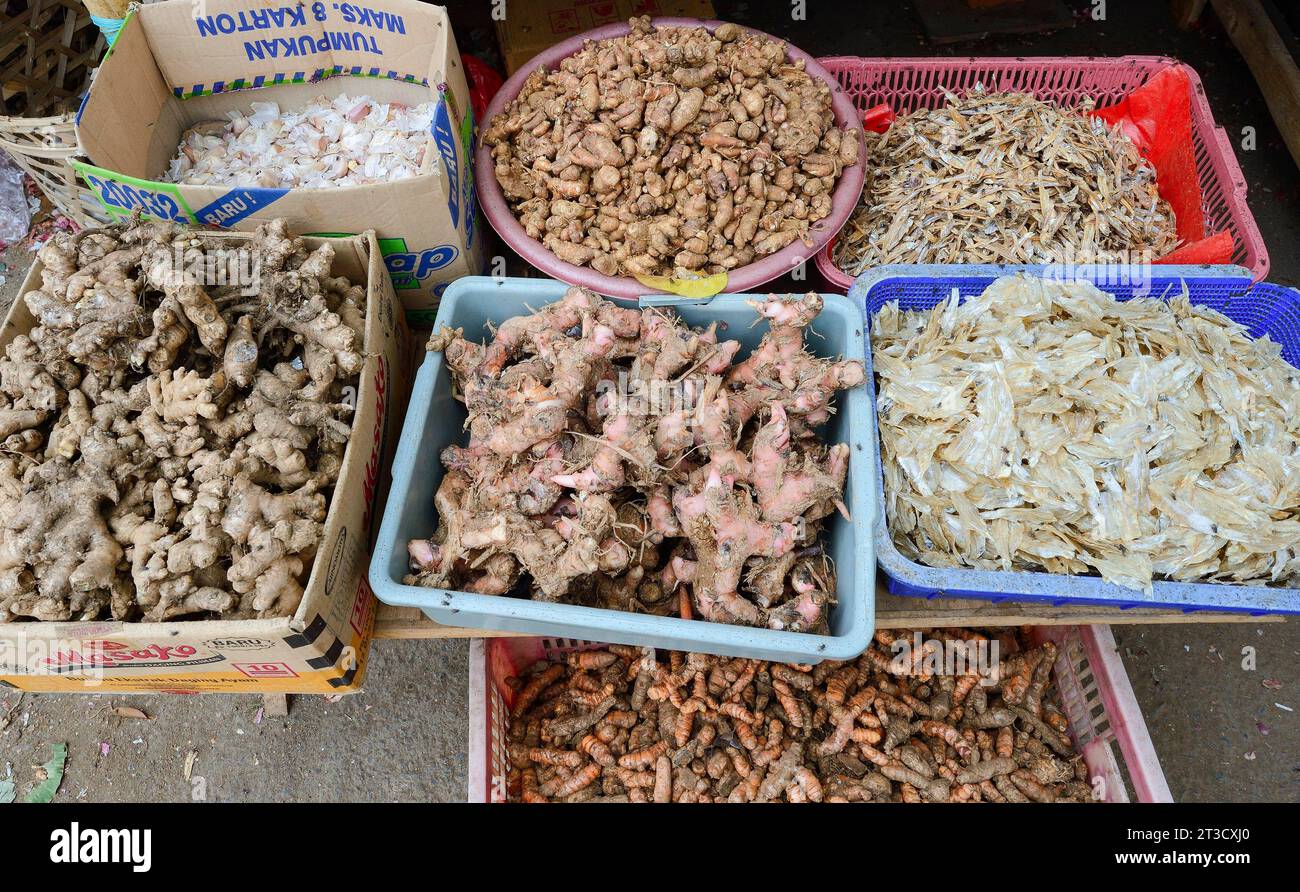 Different kinds of ginger (Zingiber) and dried fish at a market in ...