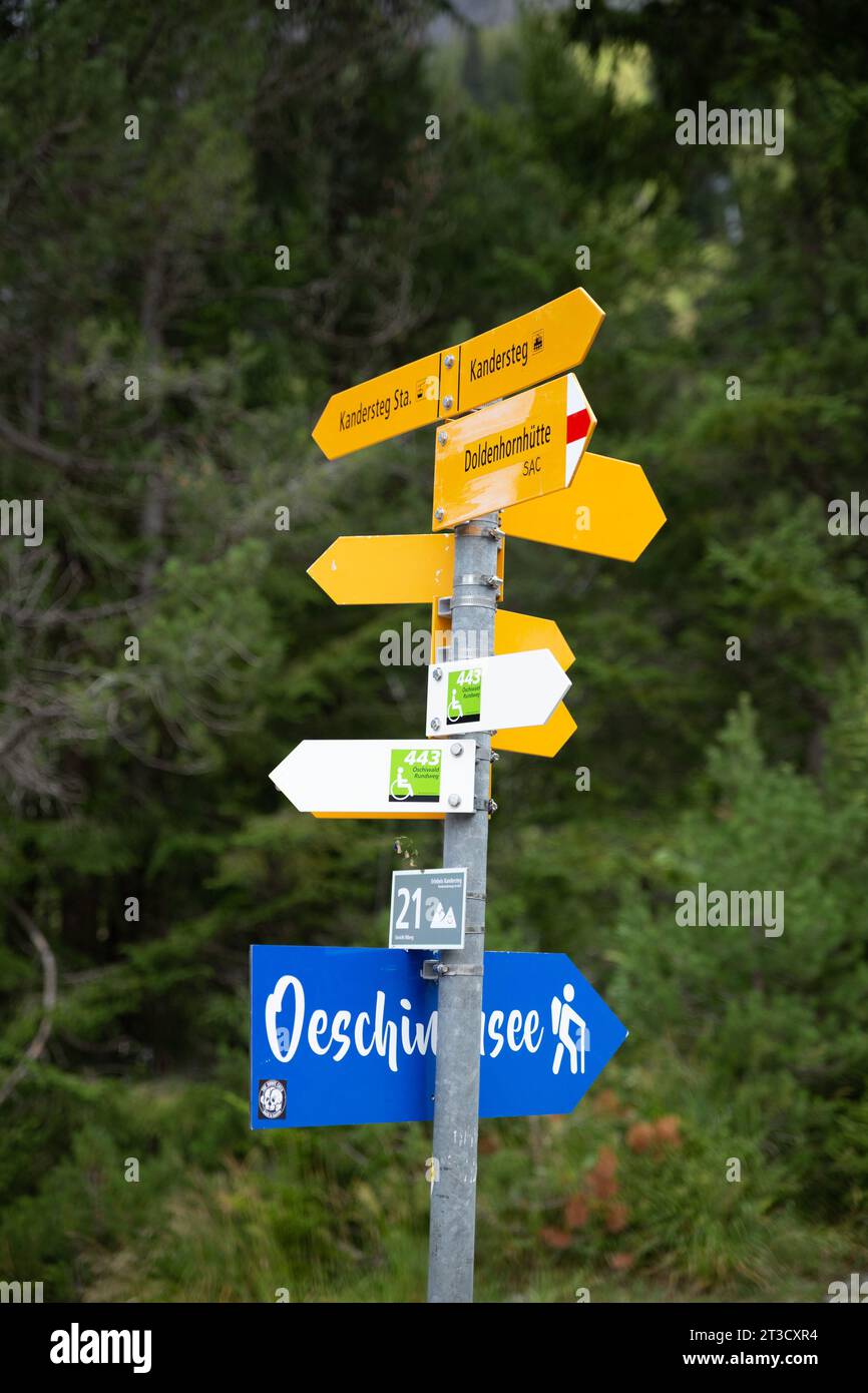 road signs in Alps with green pine tree in the backgournd Stock Photo ...