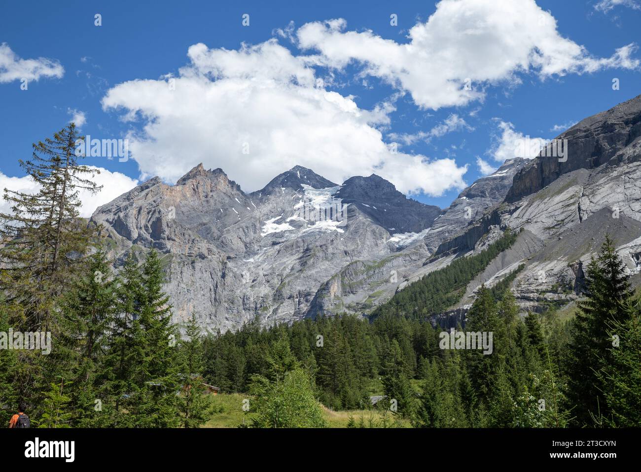Alps mountain peak with glacier with pine tree in Kandersteg ...