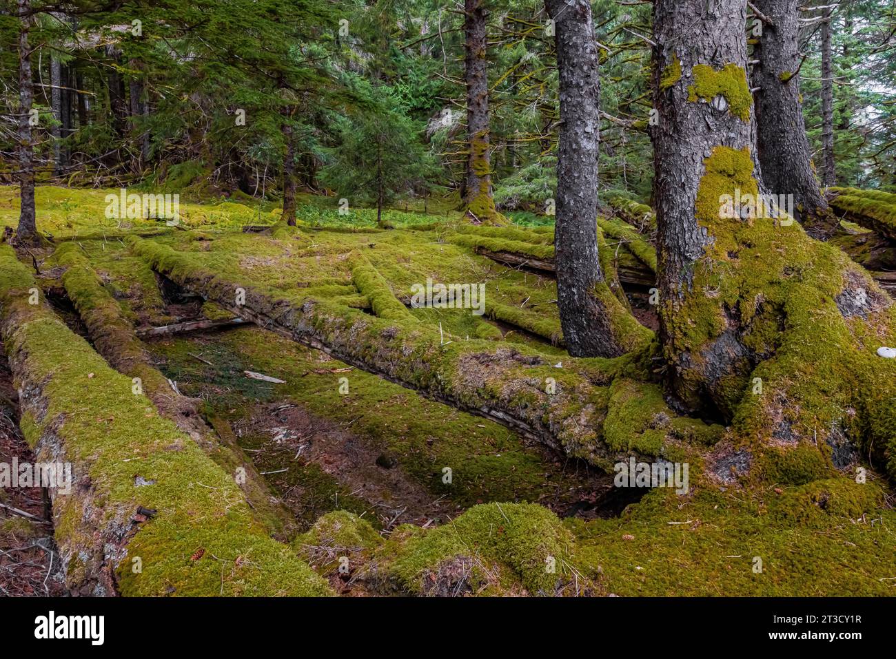 Pit house canada hi-res stock photography and images - Alamy