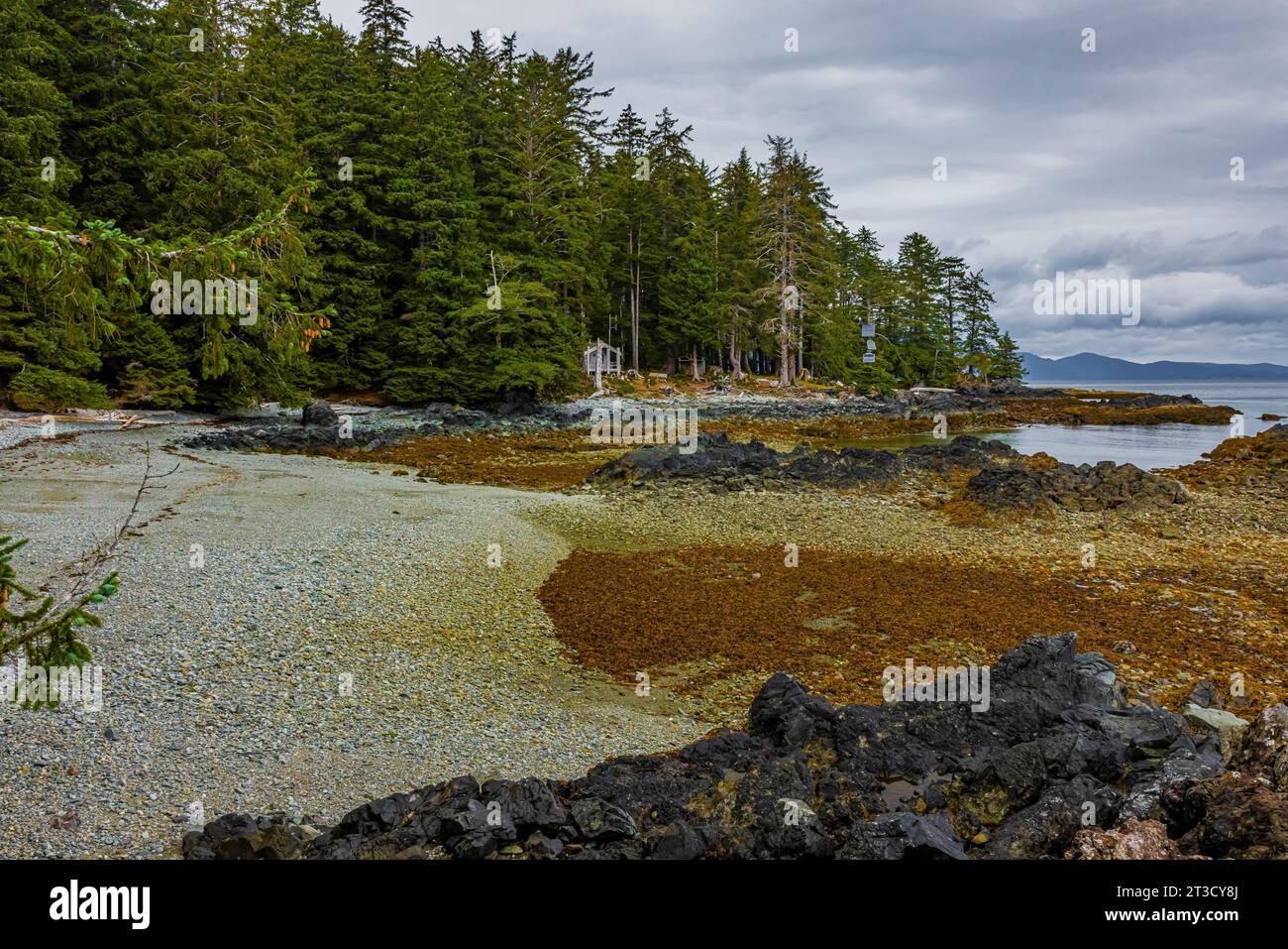 House for the Watchmen at the ancient Haida village of T'aanuu Linagaay ...