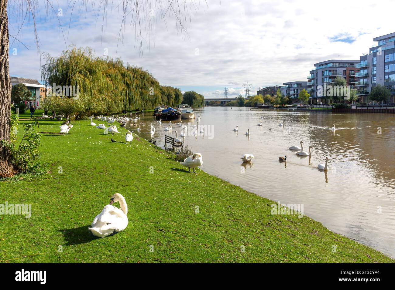 Riverside walk on banks of River Nene, Rivergate, Peterborough ...