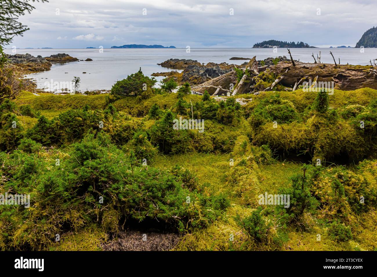 Where the forest meets the sea at the ancient Haida village of T'aanuu ...