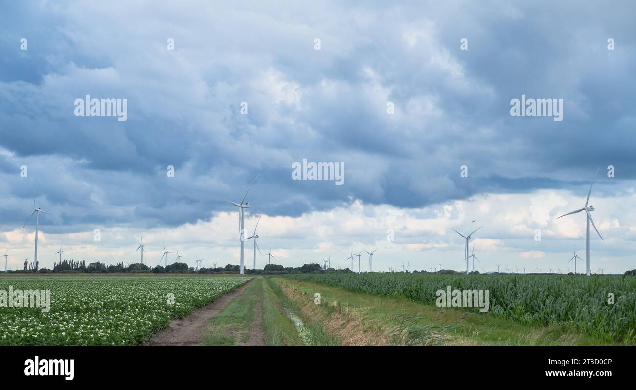 Lots of wind turbines stands in the farmland with cloudy sky in the ...