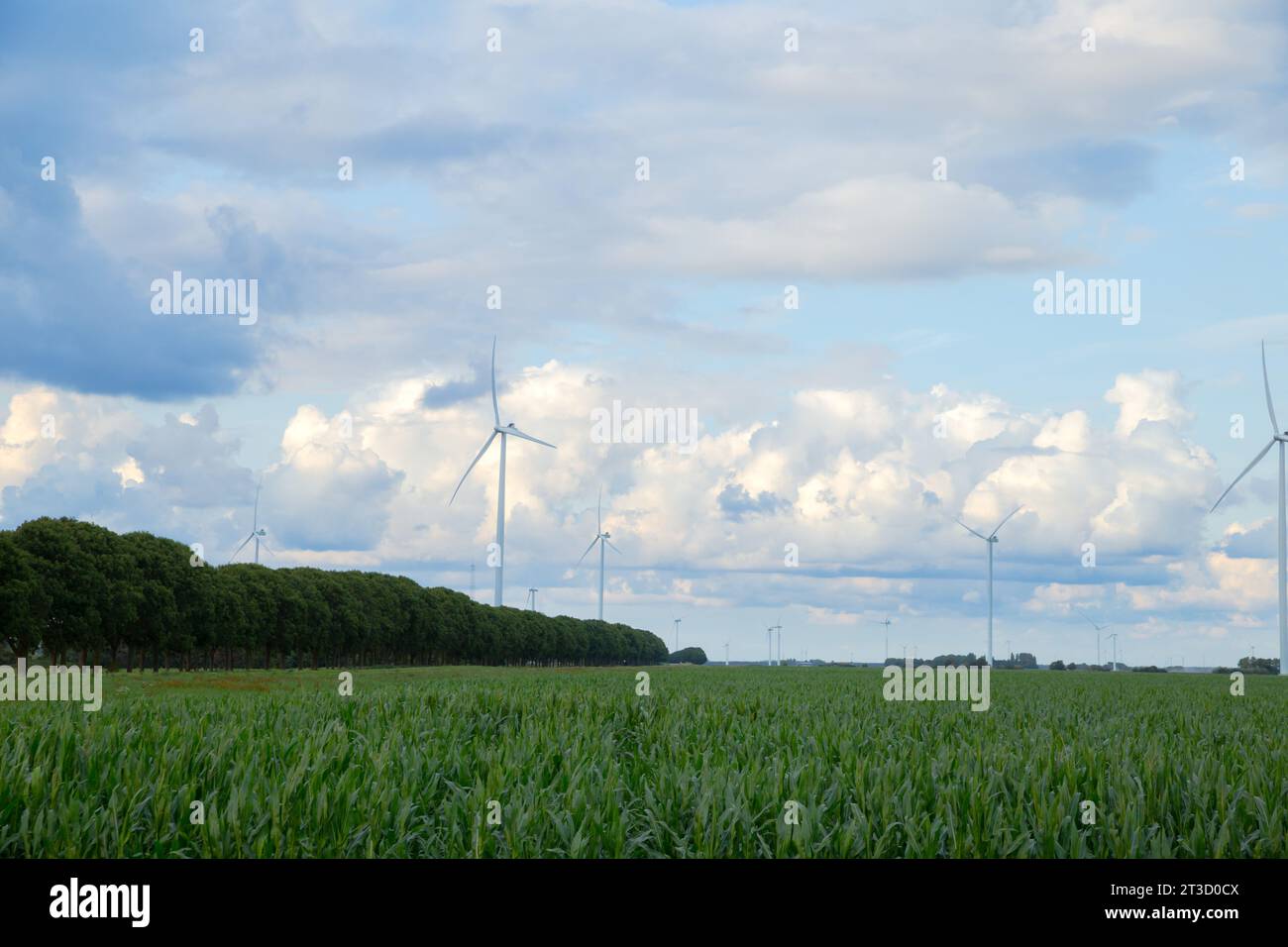 Lots of wind turbines stands in the farmland with cloudy sky in the ...