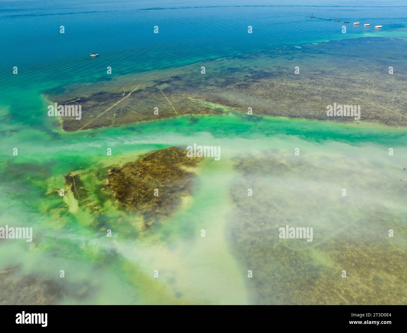 Aerial photo reef inspection Florida Keys October 2023 Stock Photo - Alamy