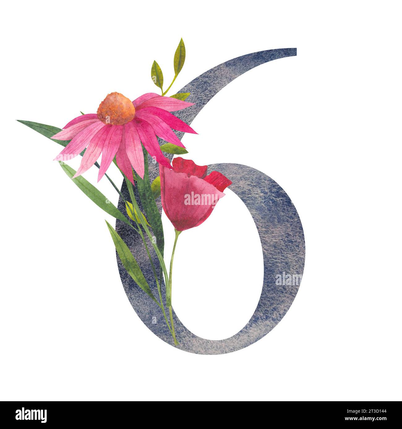 Floral number six design hi-res stock photography and images - Alamy