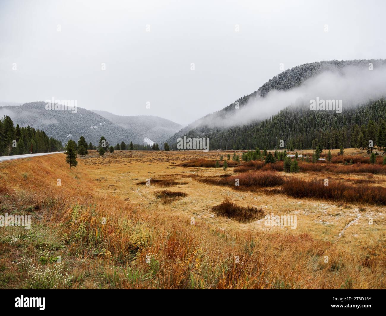 Fall brought an early snow to Yellowstone as yellow leaves gave way to ...