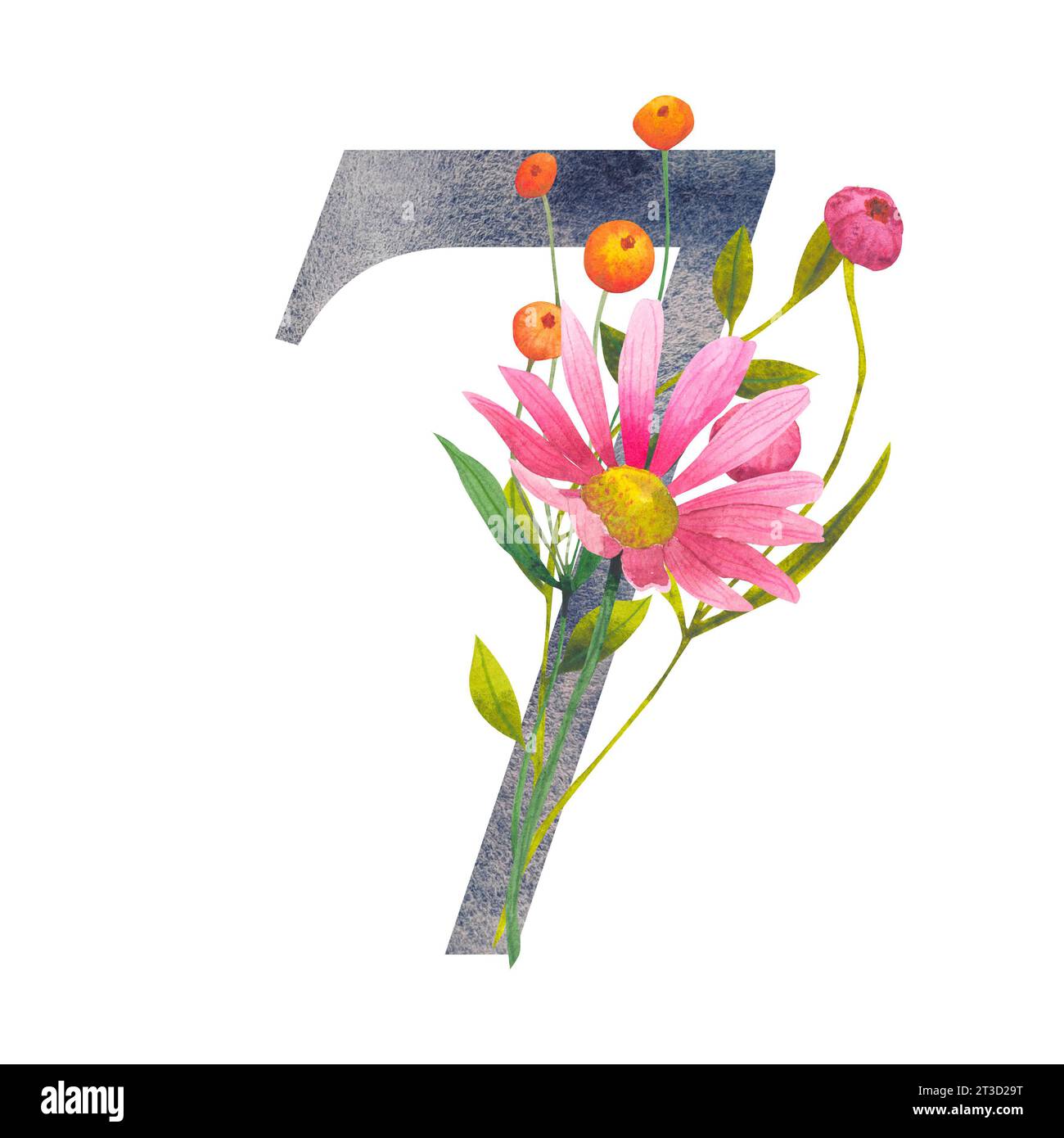 Floral Number 7 seven. Watercolor element with botanical wildflowers ...