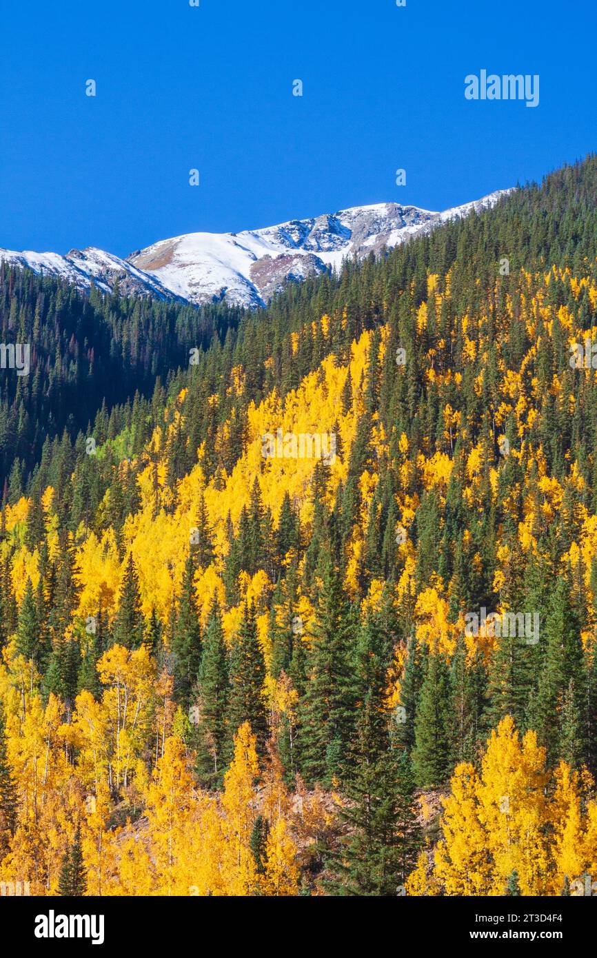 Autumn color along the Million Dollar Highway (US 550) portion of the ...