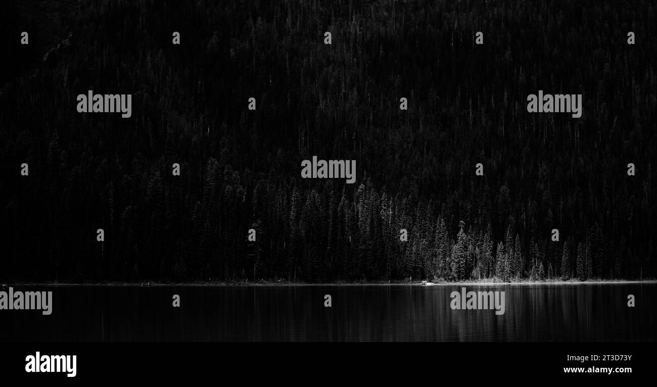 British nature photos Black and White Stock Photos & Images - Alamy