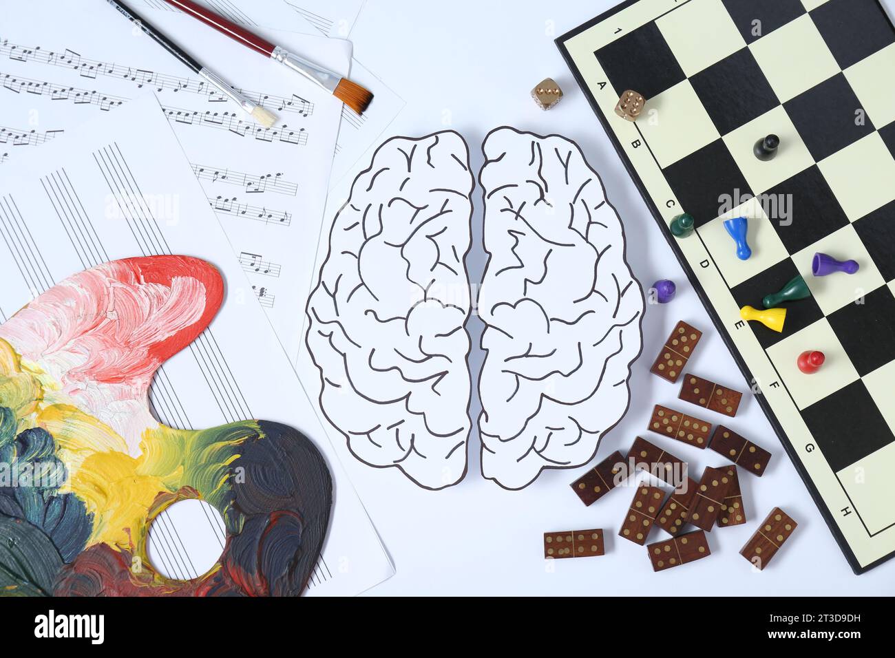 Logic and creativity. Paper brain on white background, flat lay. Paint ...