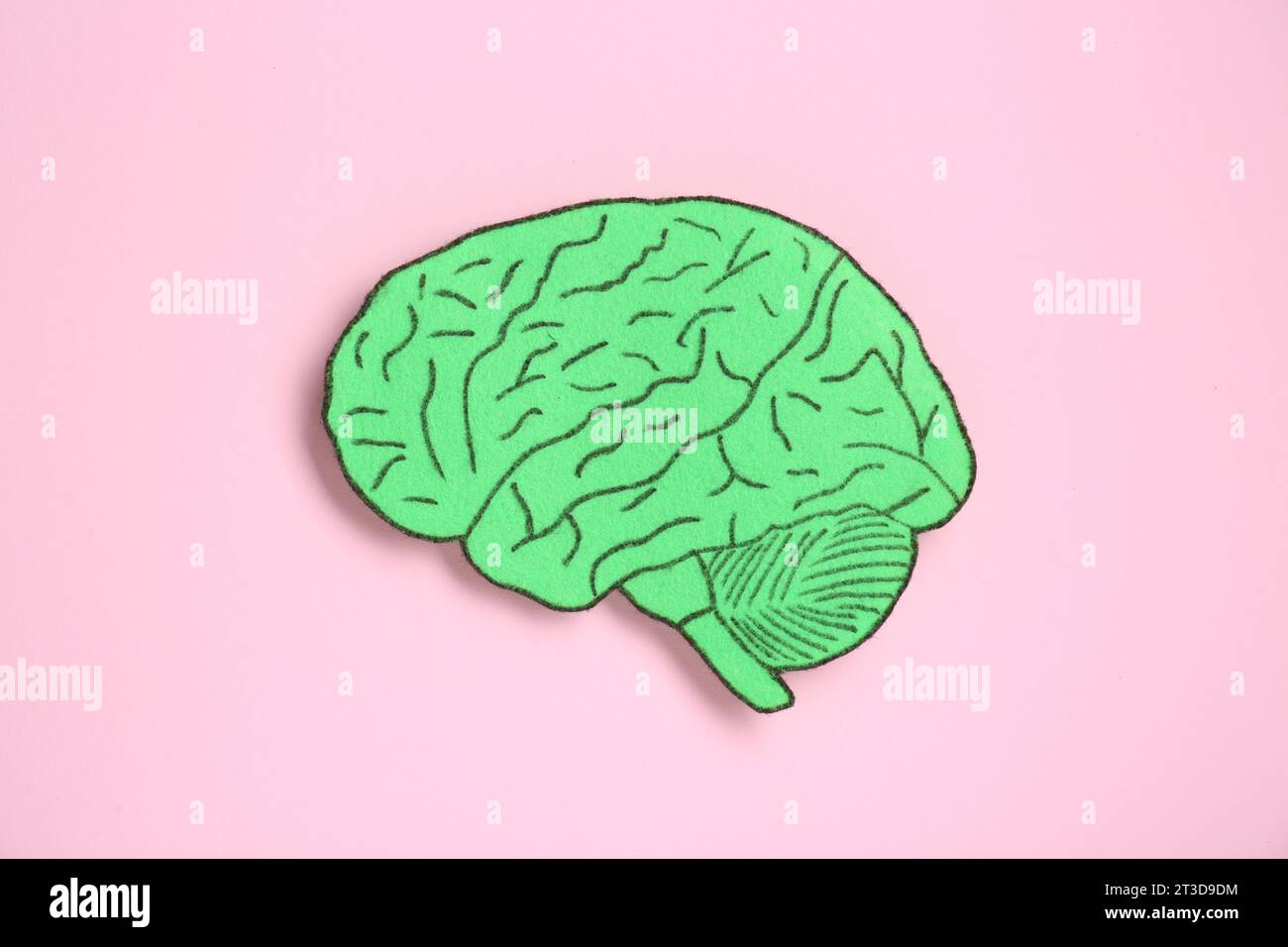 Human brain cutout hi-res stock photography and images - Alamy