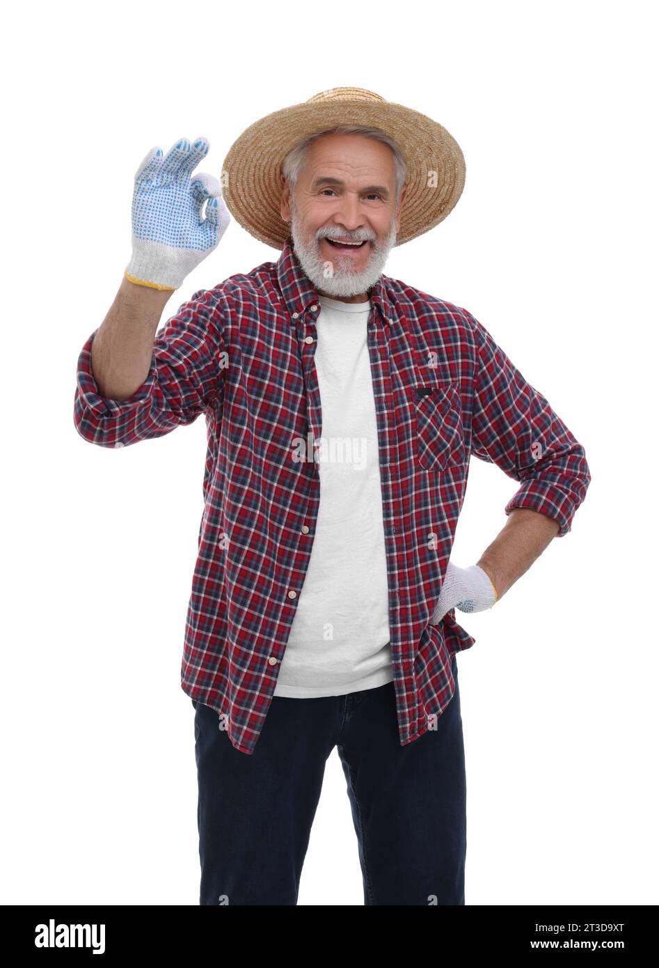 Harvesting season. Happy farmer showing ok gesture on white background ...