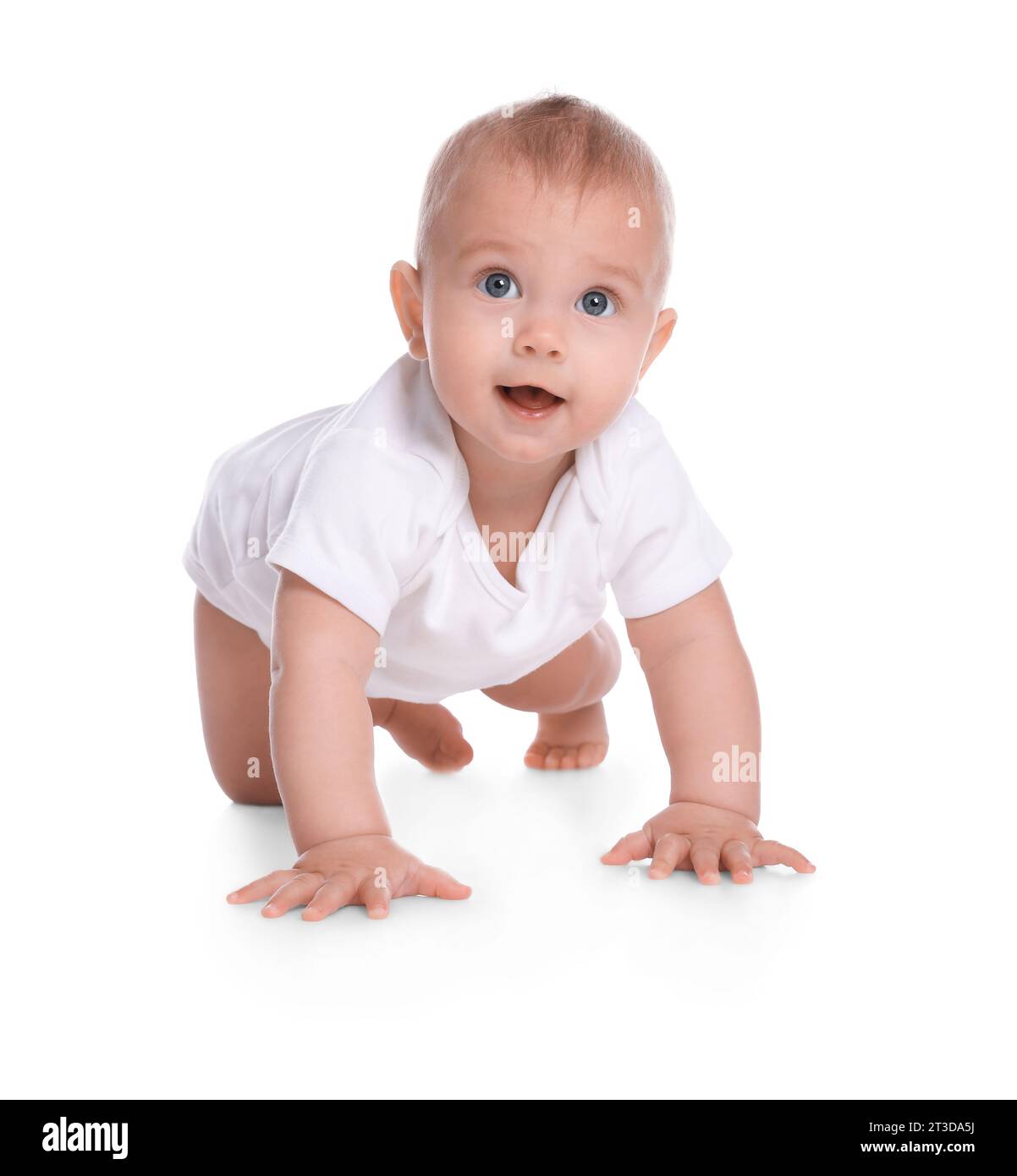 Cute little baby crawling on white background Stock Photo - Alamy