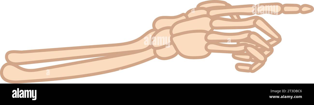 halloween skeleton hand vector isolated Stock Vector Image & Art - Alamy