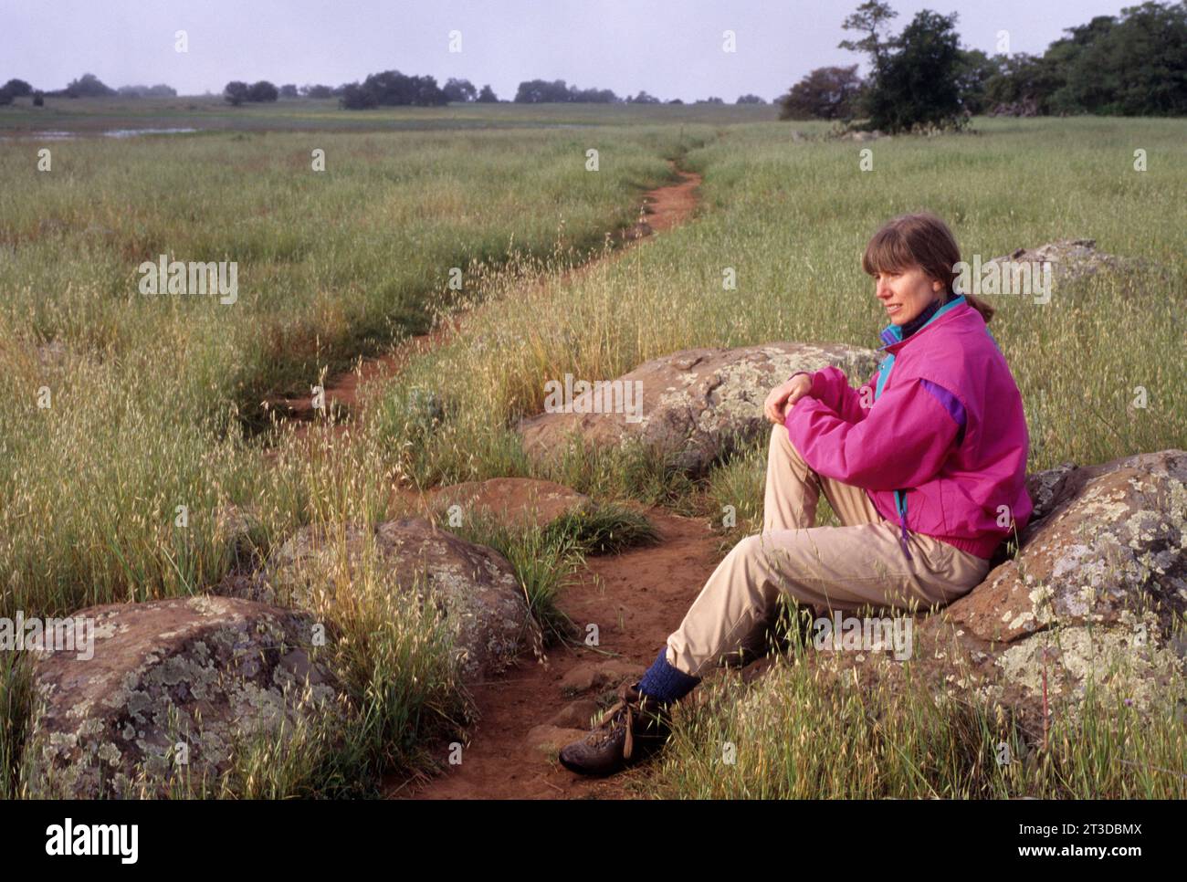 Grassland plateau, Santa Rosa Plateau Ecological Preserve, California ...