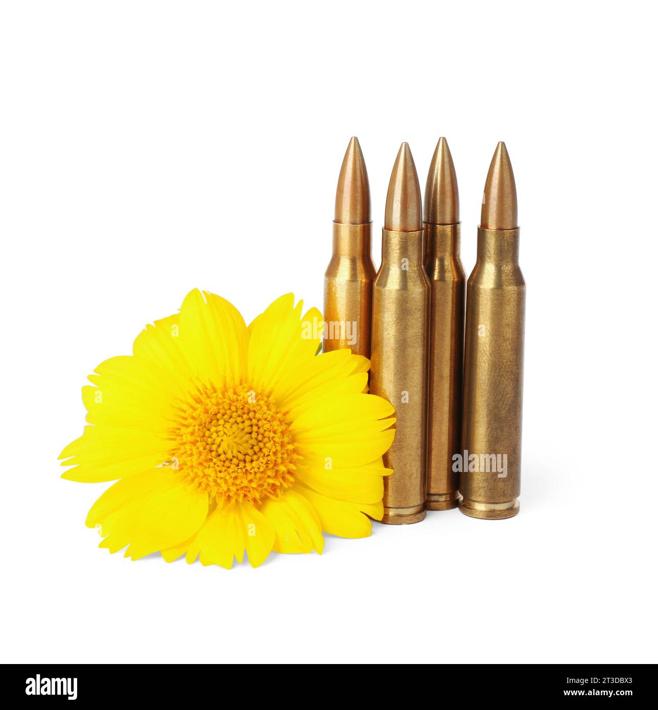 Yellowbullet Mini Clips