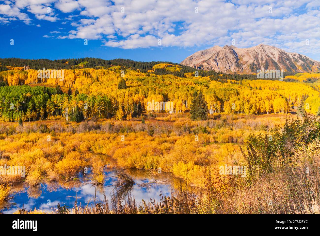 Us southern colonies hi-res stock photography and images - Alamy