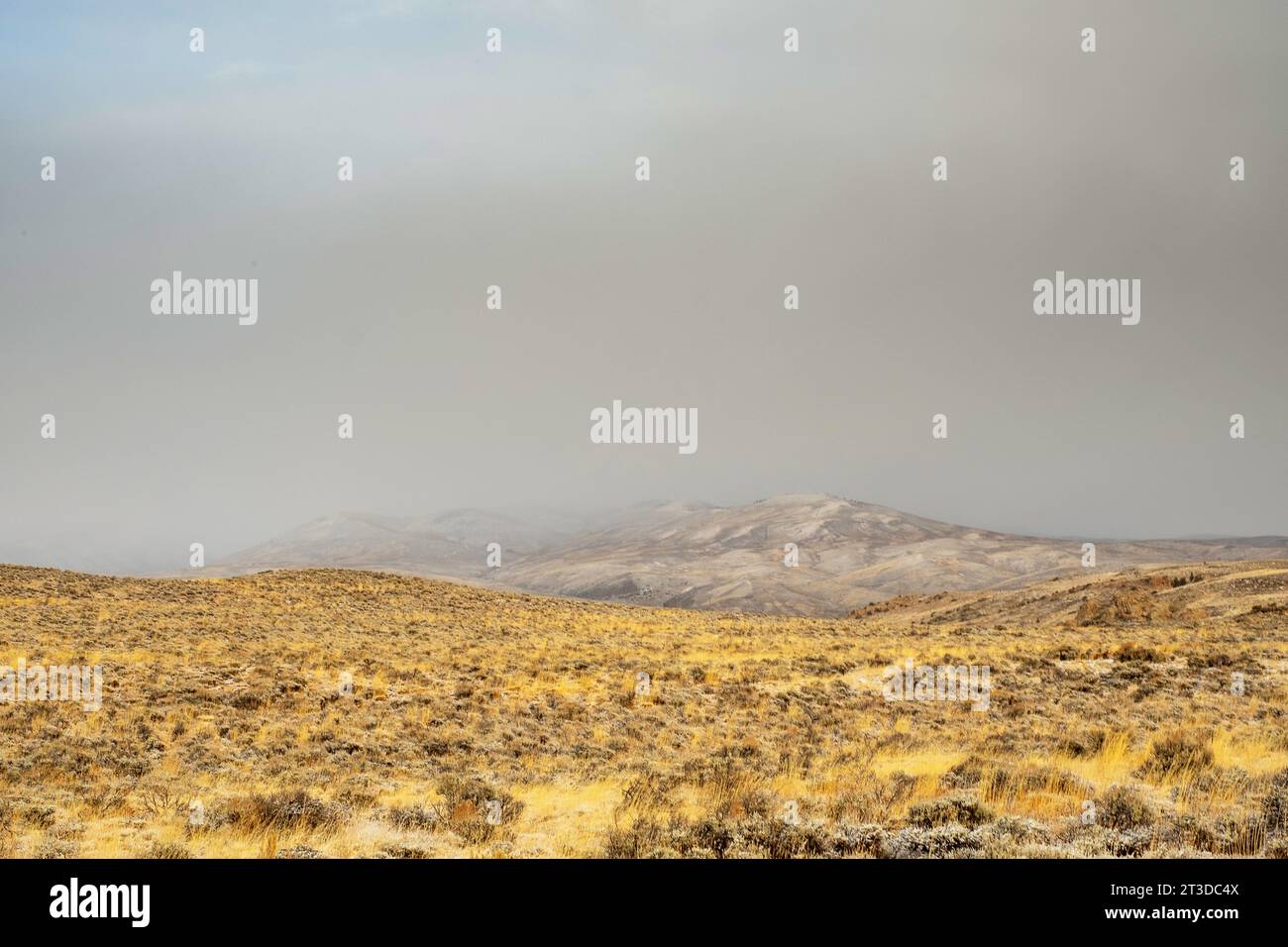 Hartman Rocks Recreation Area. 14th Oct, 2023. The light of an Autumn ...