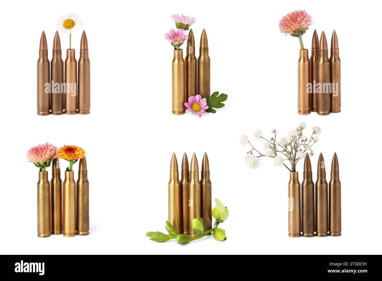 Set of bullets and beautiful flowers isolated on white Stock Photo - Alamy