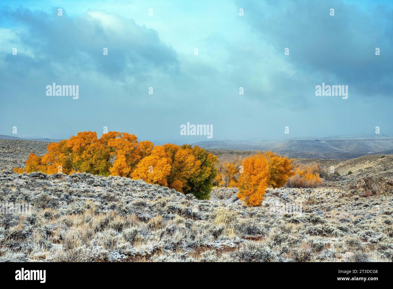 Hartman Rocks Recreation Area. 14th Oct, 2023. The light of an Autumn ...